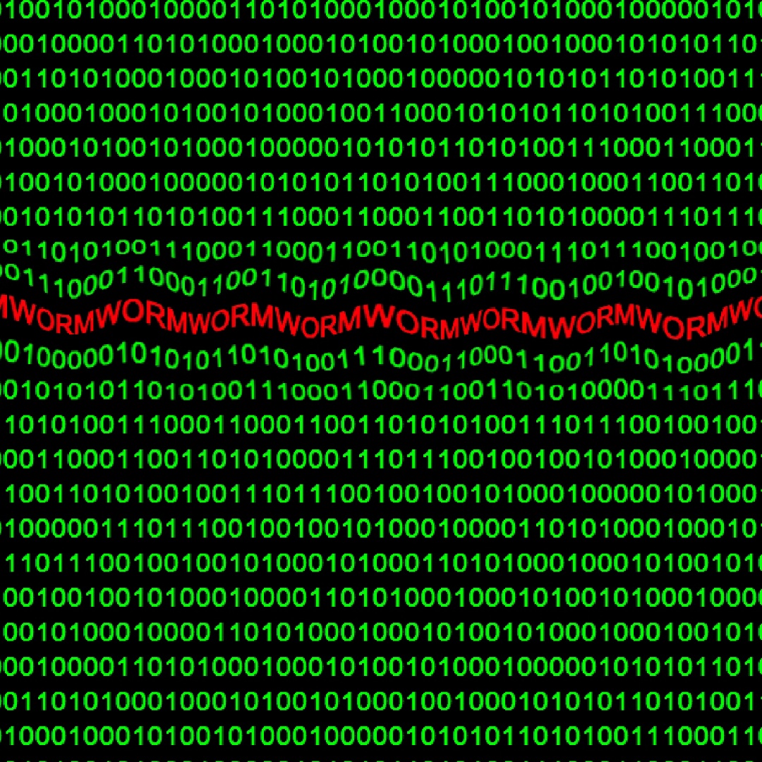 Worm: entenda como esse malware pode afetar a sua empresa